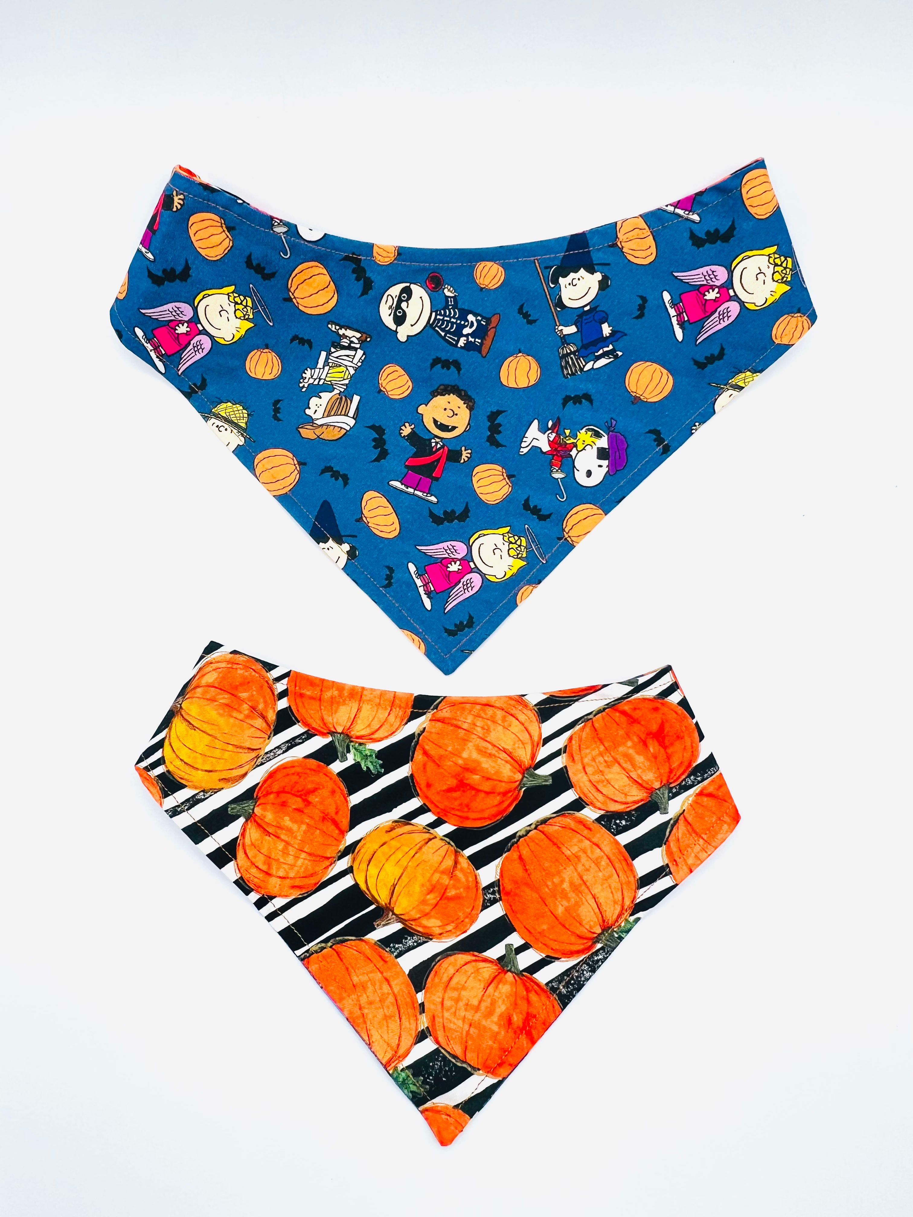 Tommy’s Pawsh Shop